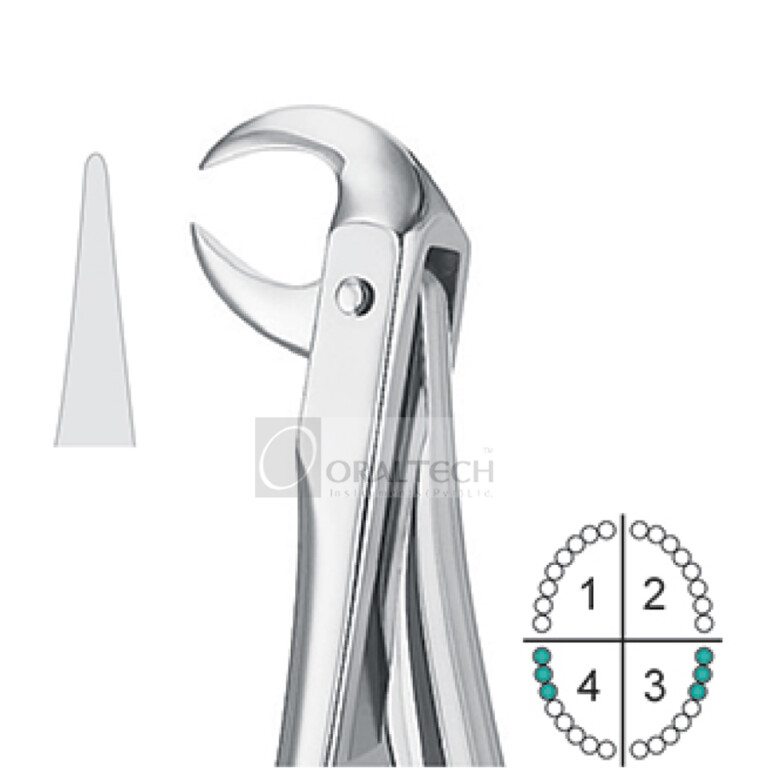 Lower Molar Extracting Forceps – Oraltech Instruments (Pvt) Ltd