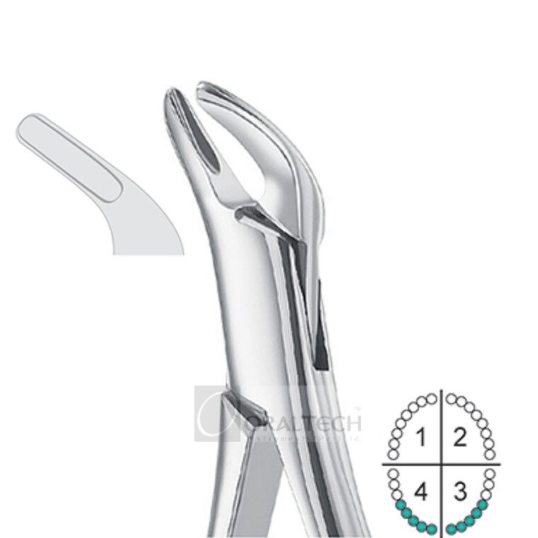 Lower Incisors, Premolars & Roots Forceps - Oraltech Instruments (Pvt) Ltd