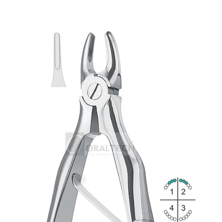 Klein Upper Incisors - Oraltech Instruments (Pvt) Ltd