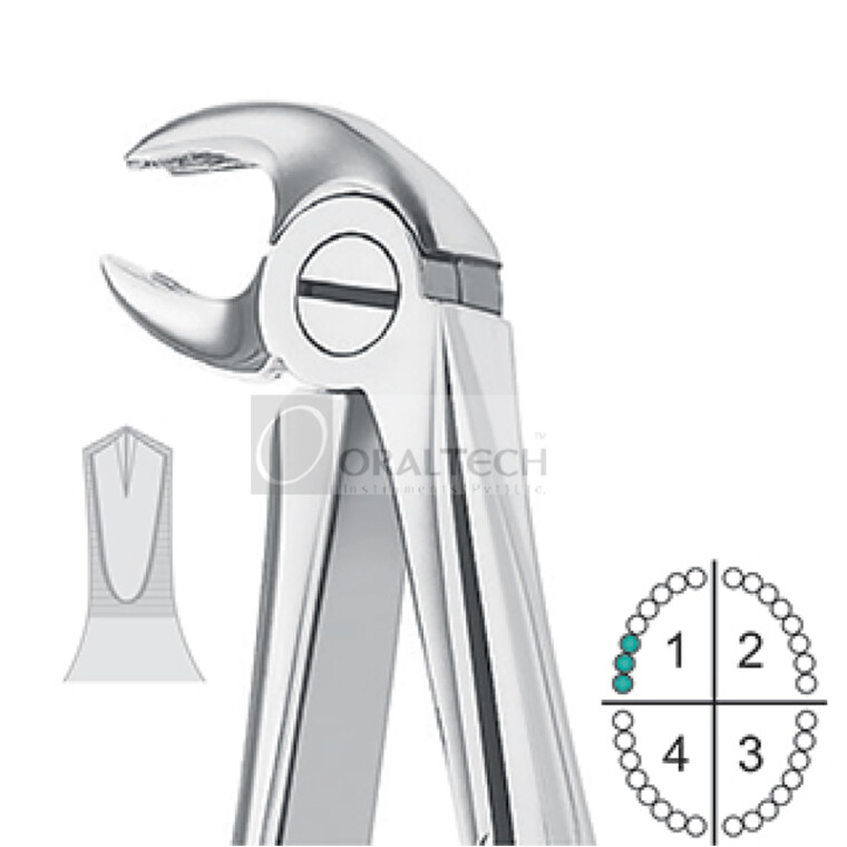 Lower Molars Extracting Forceps - Oraltech Instruments (Pvt) Ltd