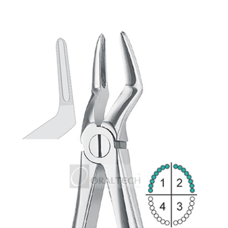 Upper Roots Extracting Forceps - Oraltech Instruments (Pvt) Ltd